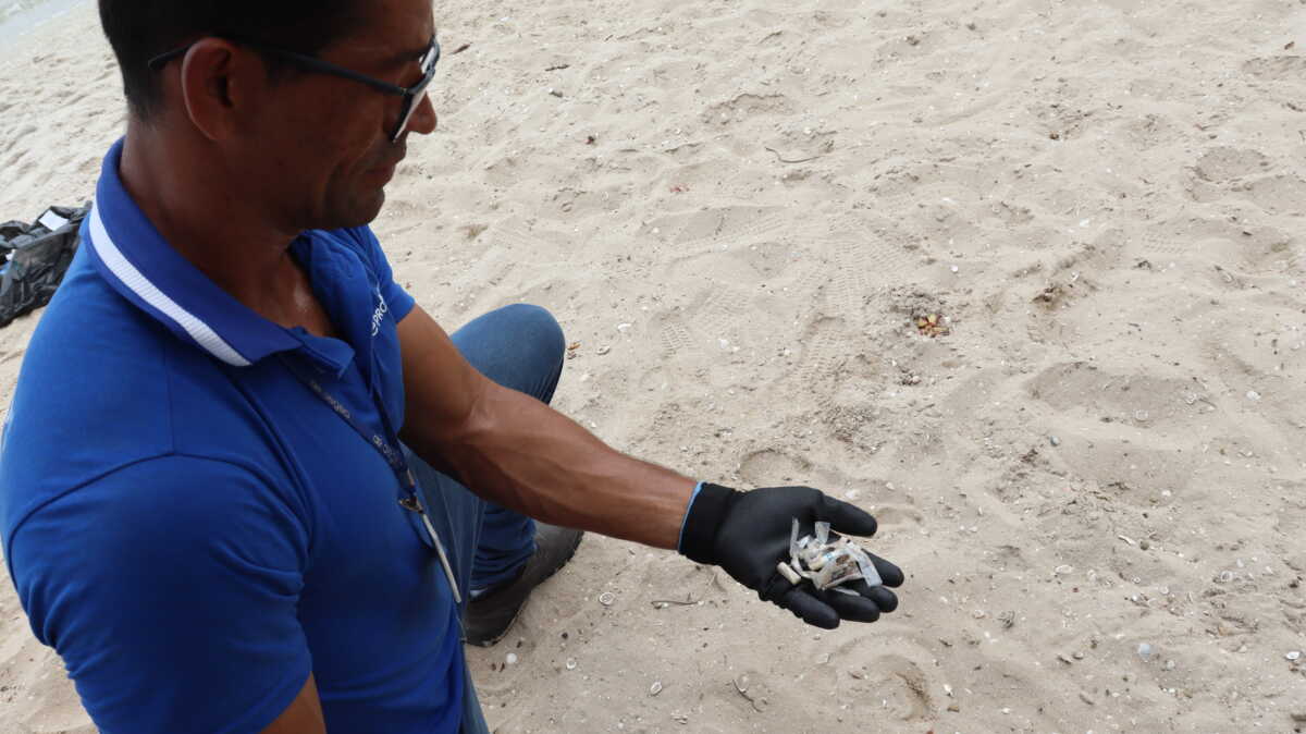 Praia do Sudoeste recebe ação de limpeza do projeto Blue Keepers